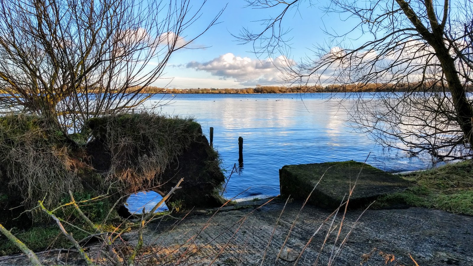 A Passion For Cards: Oxford Island, Co. Armagh, Northern Ireland