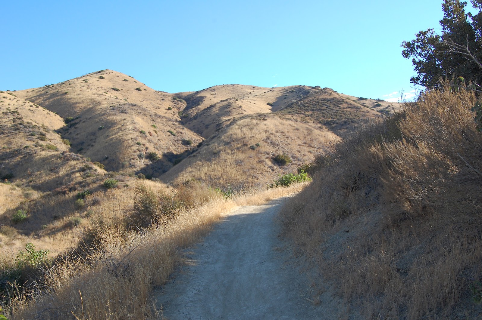 Hiking The Chumash Trail | East West Hike