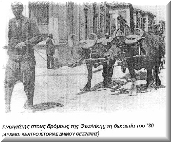 ΑΔΕΝΔΡΟ - ΜΟΡΦΩΤΙΚΟΣ ΠΟΛΙΤΙΣΤΙΚΟΣ ΣΥΛΛΟΓΟΣ "Η ΠΡΟΟΔΟΣ" Macedonia Greece ...