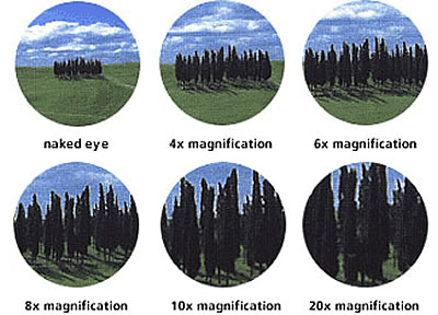 A Review of Best Rifle Scope for You