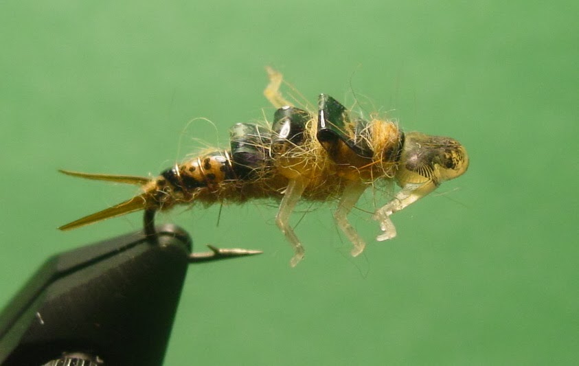 Tradd's Flies: Golden Stonefly Nymph
