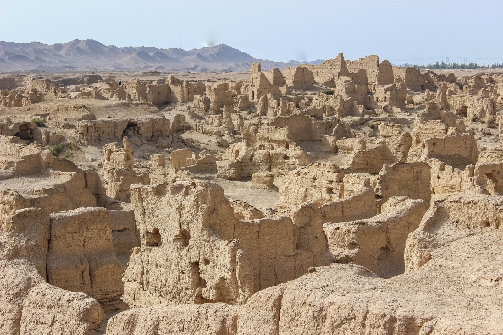 Cannundrums: Hami Melon