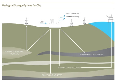 Carbon Storage