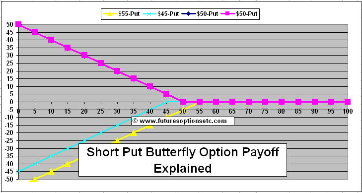 Short Put Butterfly Options Trading Explained: Example & Payoff Charts ...