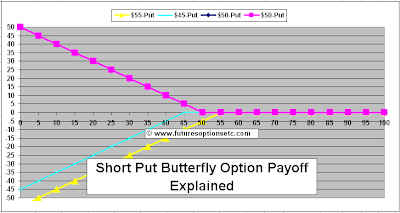 Short Put Butterfly Options Trading Explained: Example & Payoff Charts ...