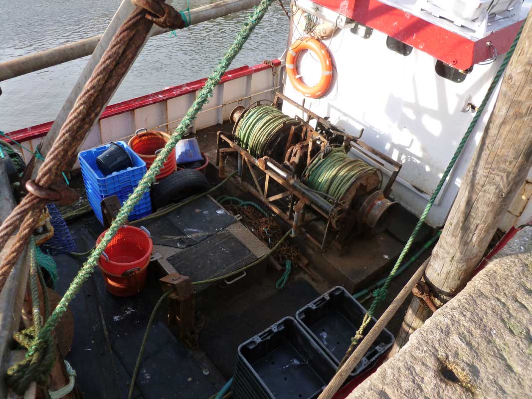 Soggibottom: High Tide and The Girl Rona.