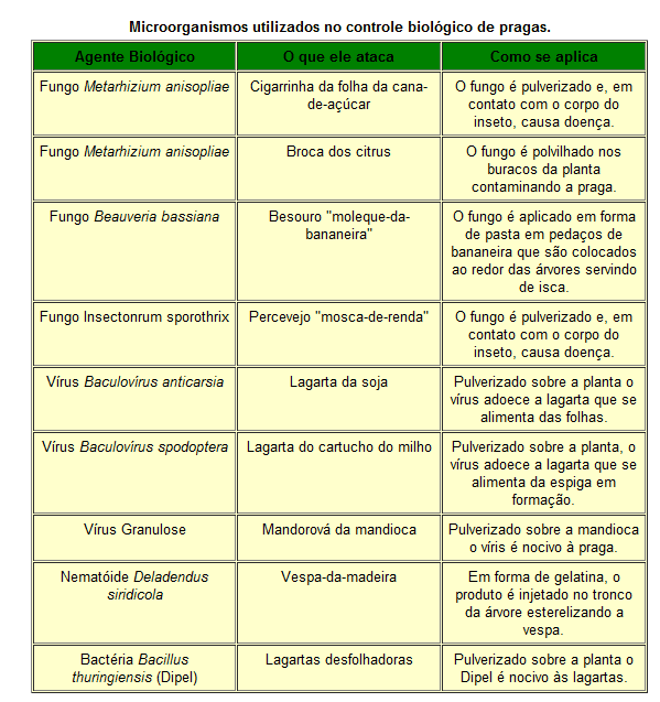 entomolog: Controle Biológico