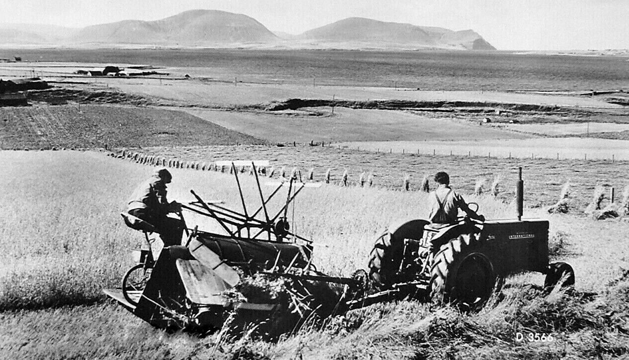 Tour Scotland: Old Photograph Crofters Harvesting Orkney Islands Scotland