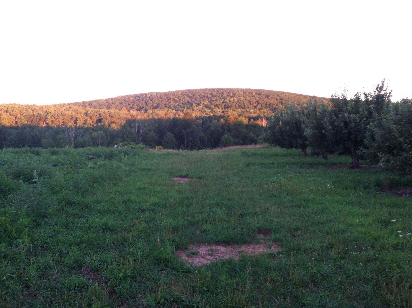 Early Morning Trails: Monoosnoc Trail End to End to End/Traverse ...