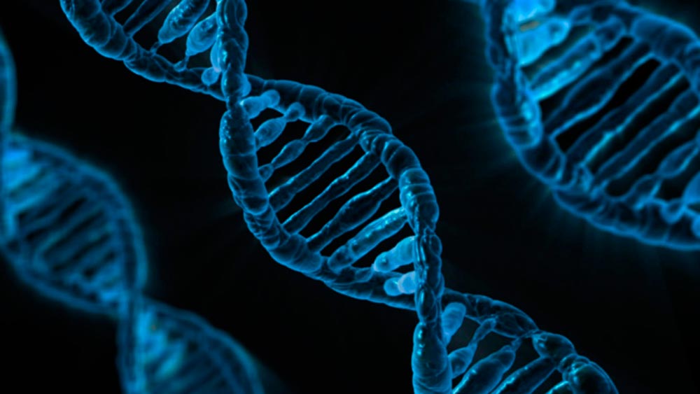 DESCUBREN CUÁNDO SE PRODUCEN LAS PRIMERAS MUTACIONES EN HUMANOS