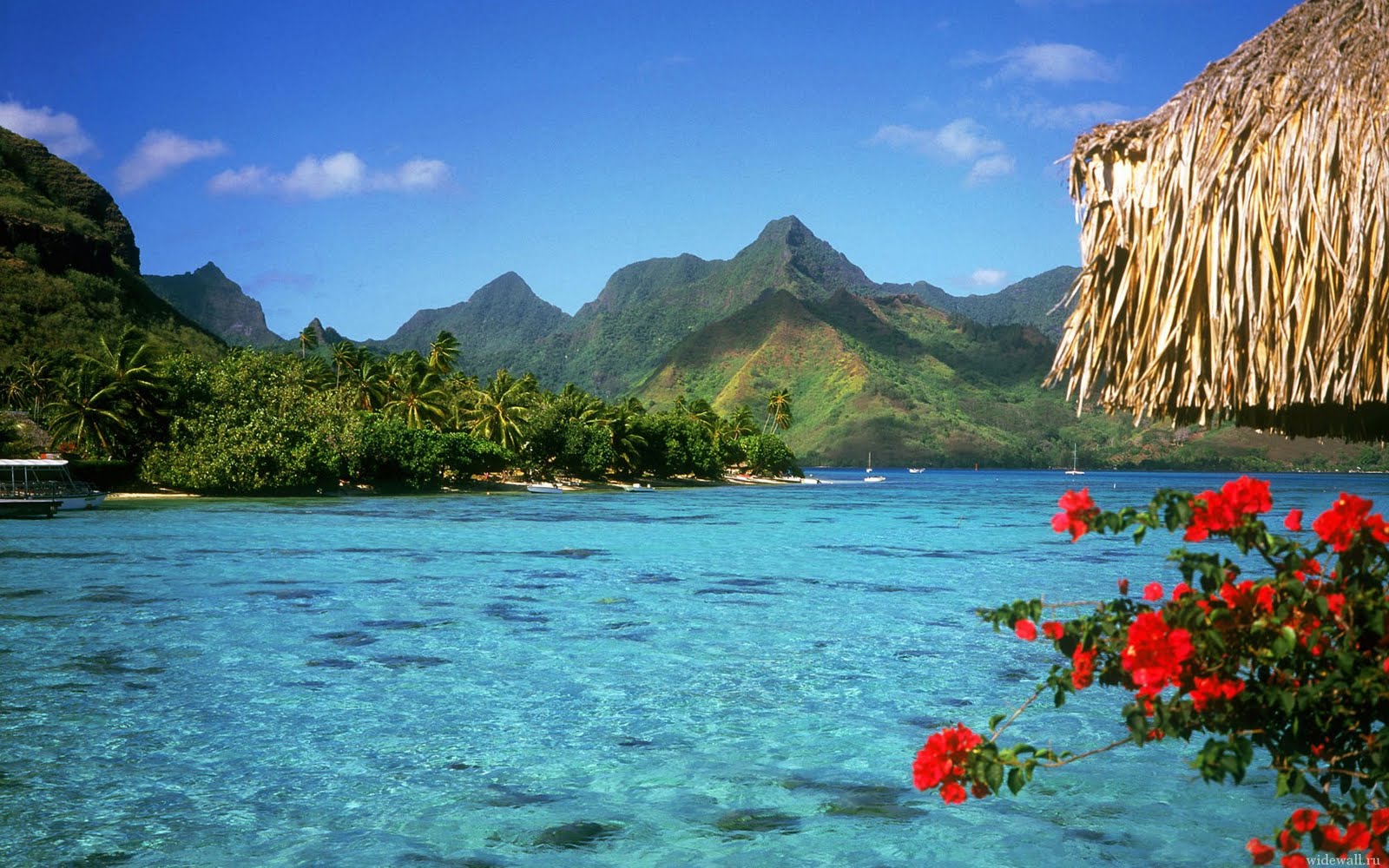Imagem de Fundo - Vista para mar e montanhas | Imagens de Fundo