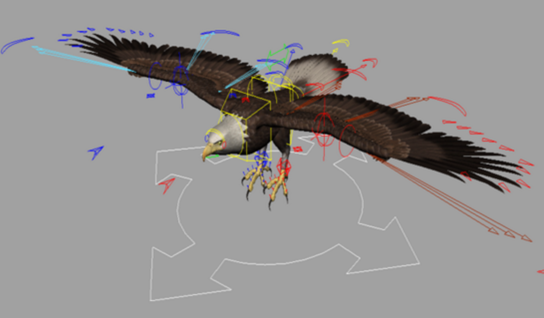 Animation Blog: Eagle Animation by Lee Caller