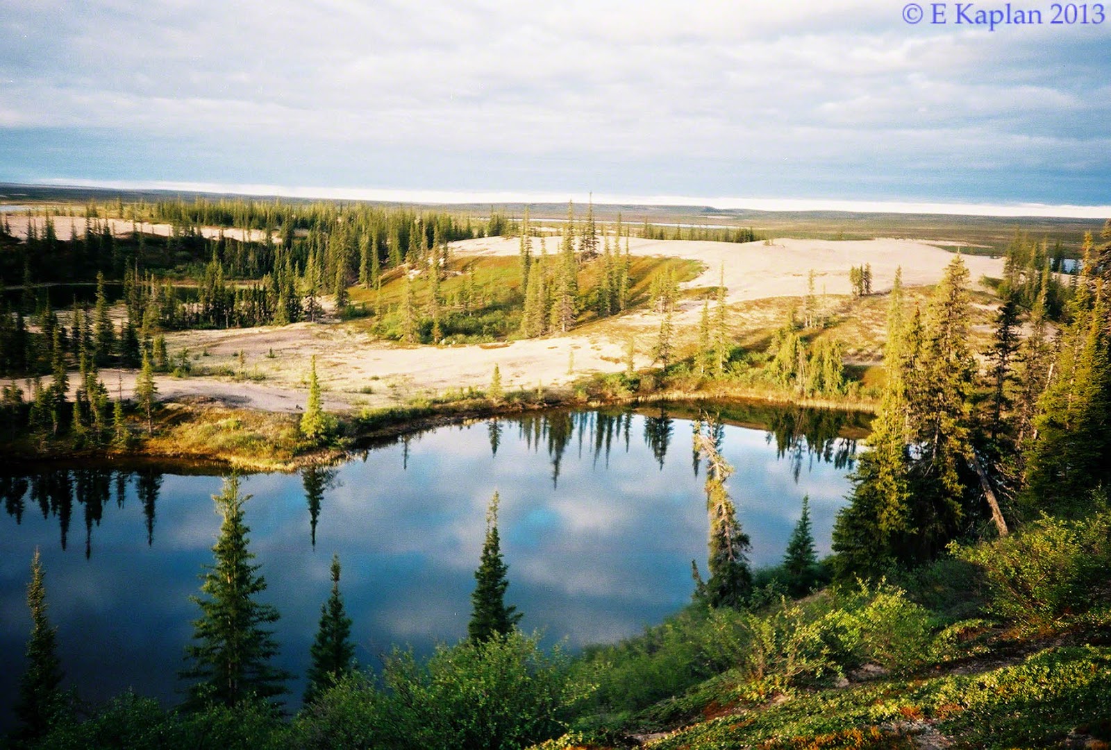 Arctic Fever: Adventure and Ordinary Travel Tips: Thelon River Wildlife ...