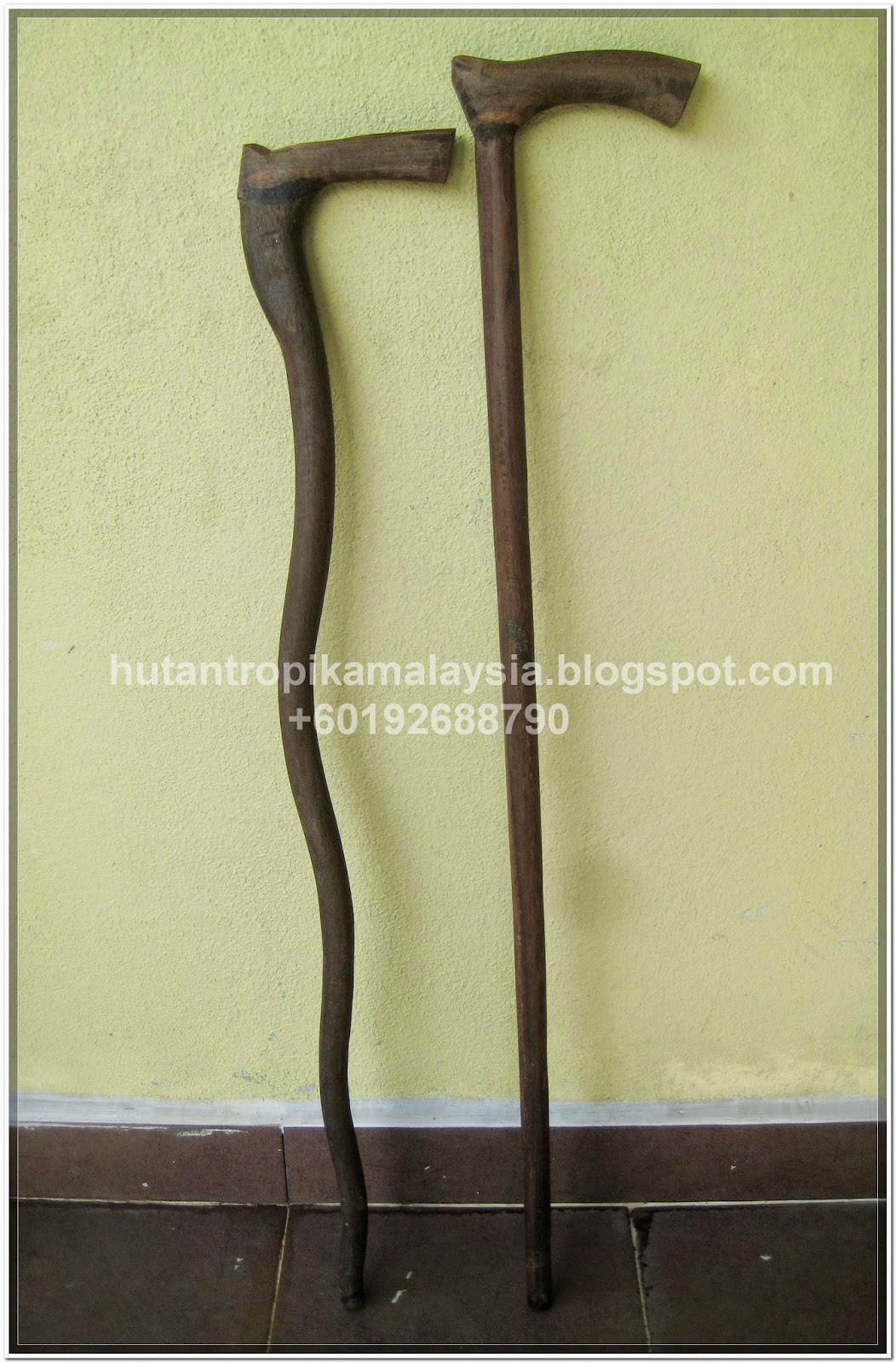 金山香料貿易 : Tongkat Gemunggal