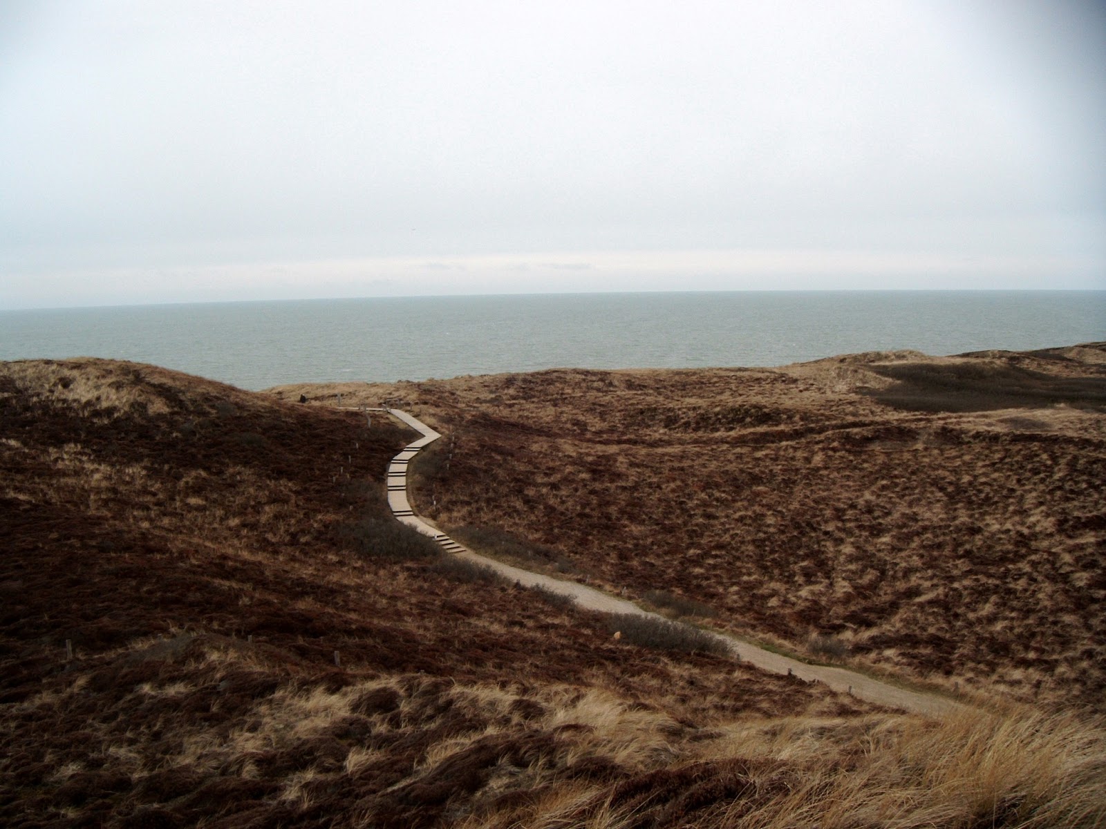 Dream Vacation ! Europe !: SYLT ISLAND IN GERMANY