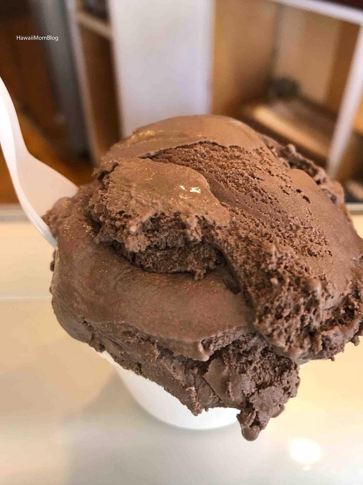 Hawaii Mom Blog: Visit Maine: Rococo Ice Cream