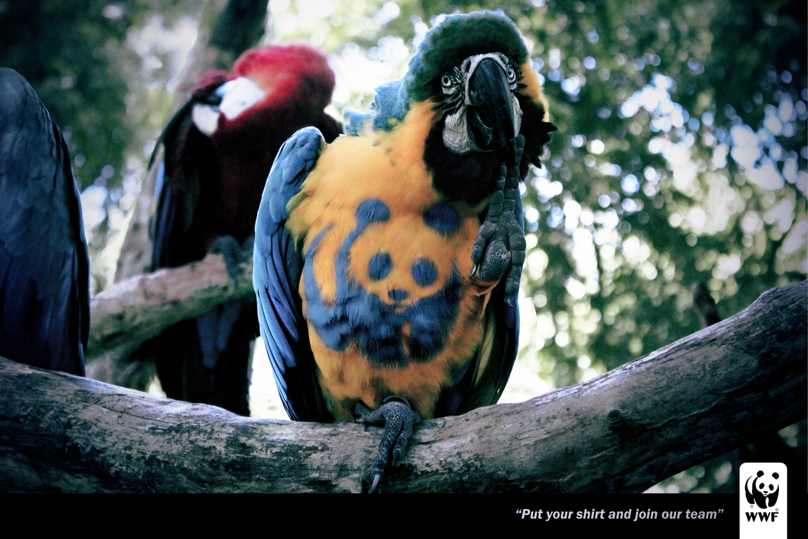 La Vie Digitale: WWF's Brazil Advertising Campaign