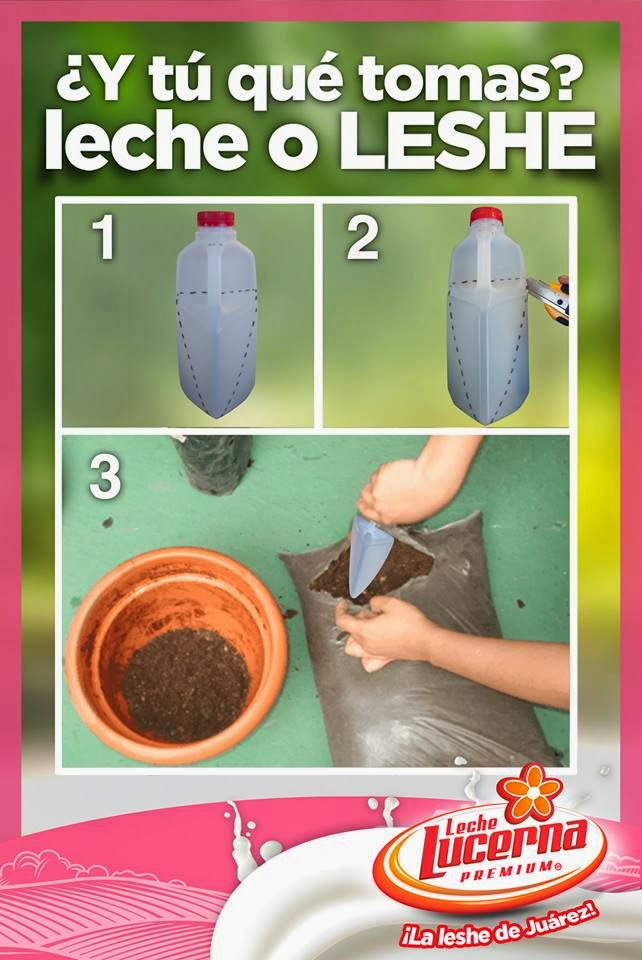 Leche Lucerna