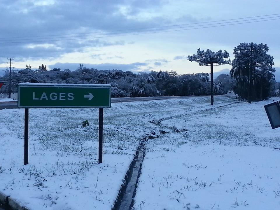 cores do ipê: julho 2013