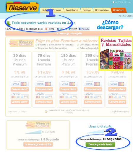 Cómo descargar las revistas - FileServe - Revistas: Tejidos y Manualidades
