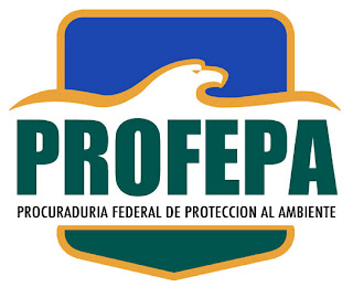 GUARDIANES DE VIDA: INSTITUCIONES DE PROTECCIÓN AMBIENTAL