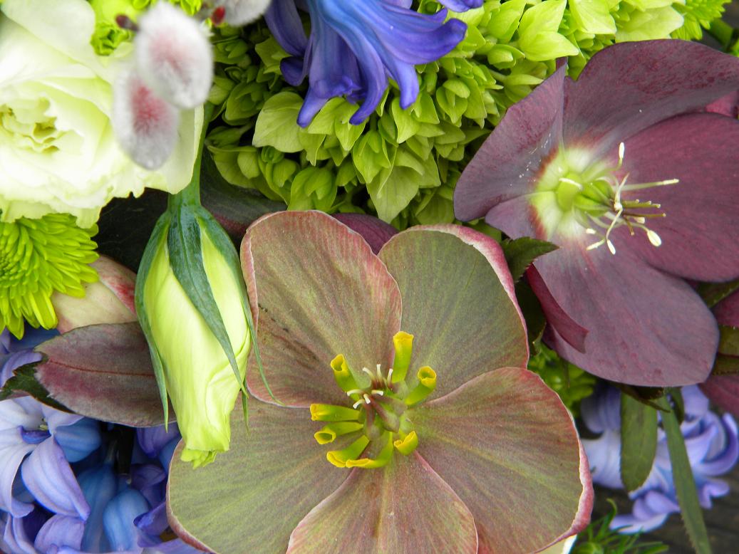Wedding Flowers from Springwell: Wedding Flowers- Blue Hyacinth, Pussy ... Wedding Flowers from Springwell: Wedding Flowers- Blue Hyacinth, Pussy ...