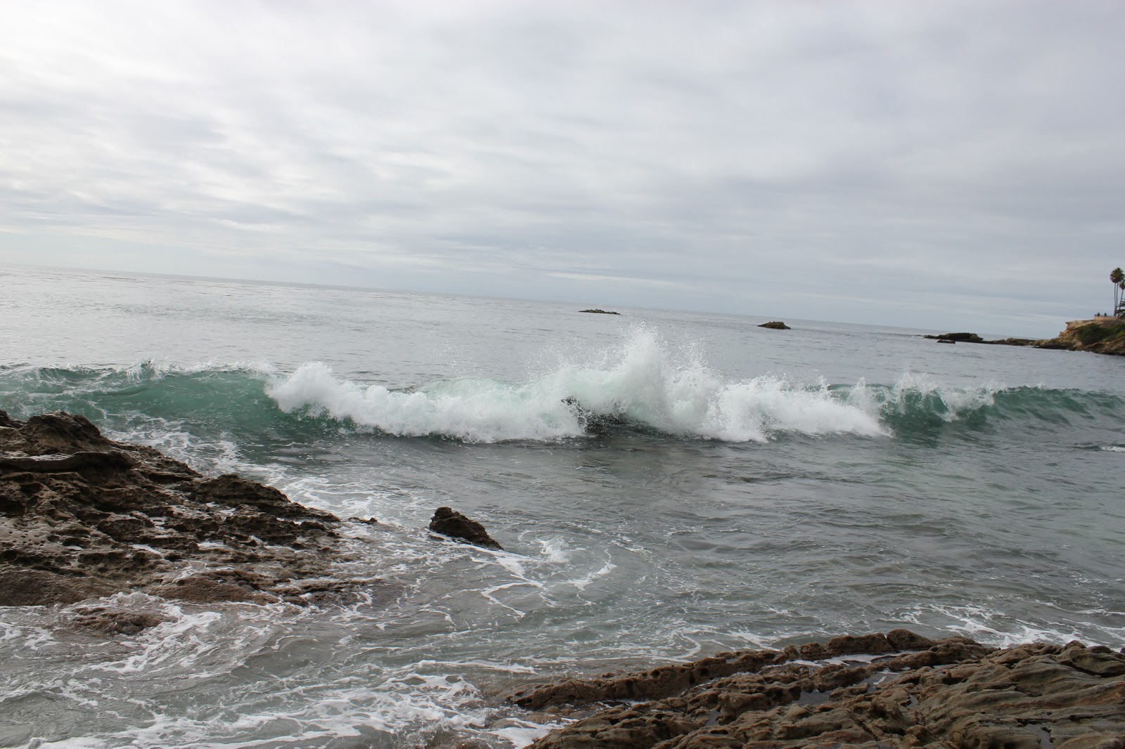 Nick Greger's Beach Project
