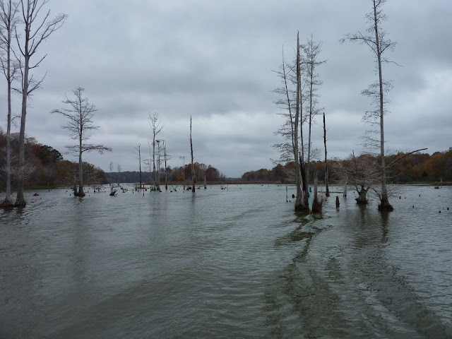 Dream Chaser: Amory Lock and Dam to Pickensville, MS