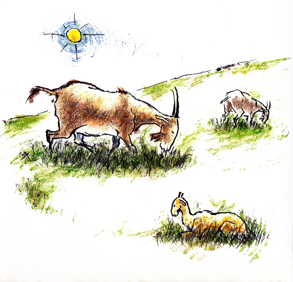 The Art of Children's Picture Books: Three Billy Goats Gruff, Glen Rounds