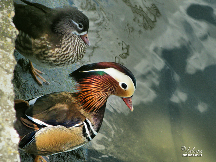 Photographis: May 2012