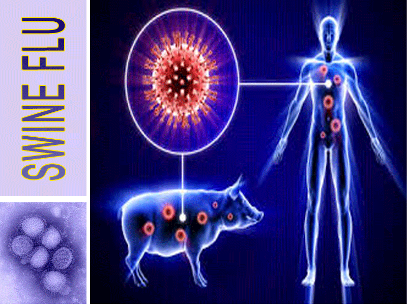 Things You Should Know