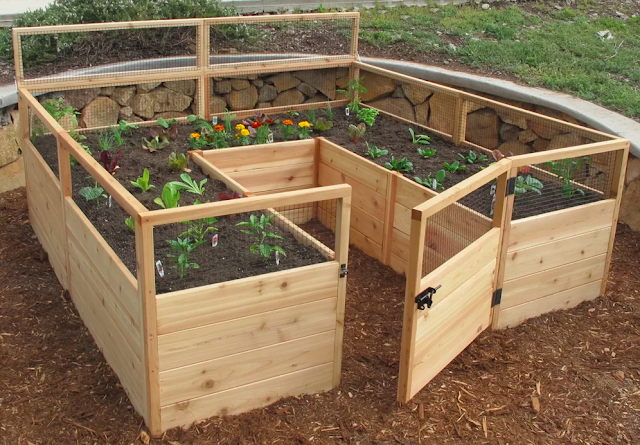 Raised Bed Garden Enclosure - Backyard Project Inspiration