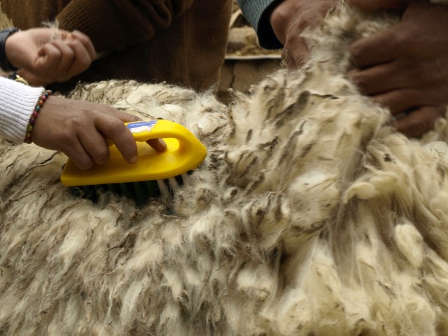 IMPORTANCIA DE LA FIBRA DE ALPACA