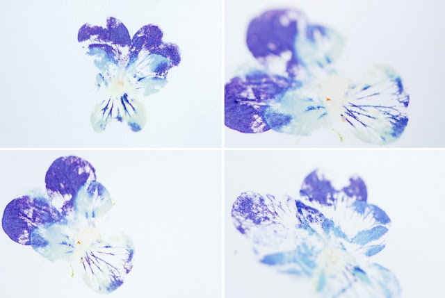 Paper Raindrops: Flower printing: a DIY