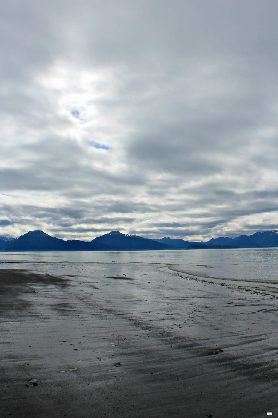 Bishop's Beach // Homer, Alaska | Caravan Sonnet