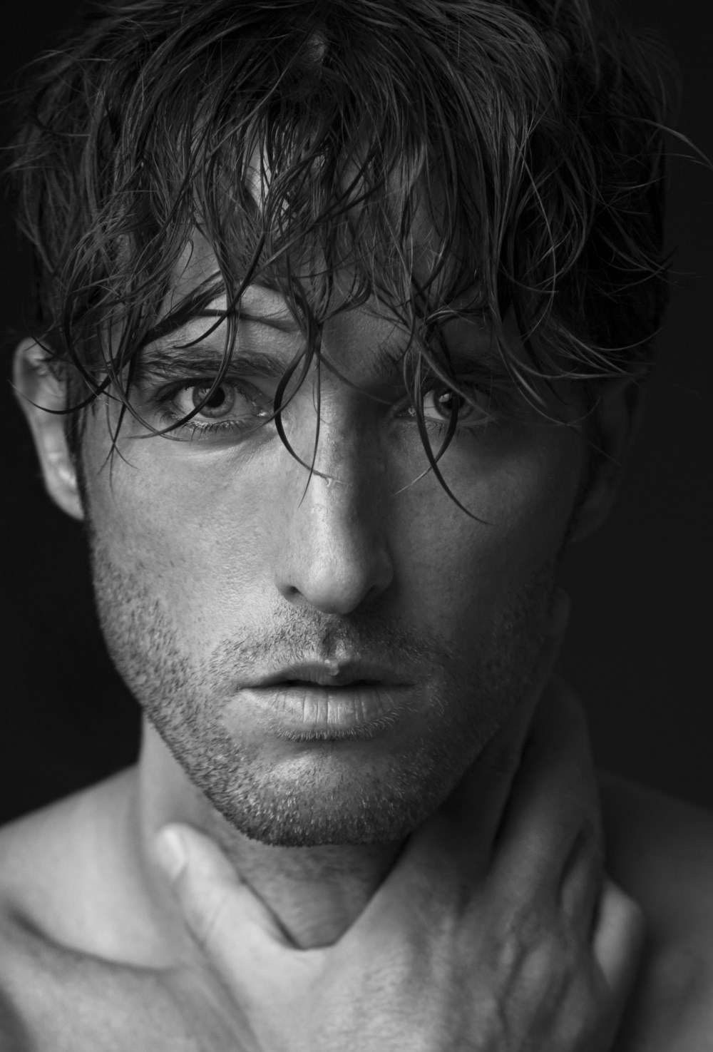 February 2014 | Homotography