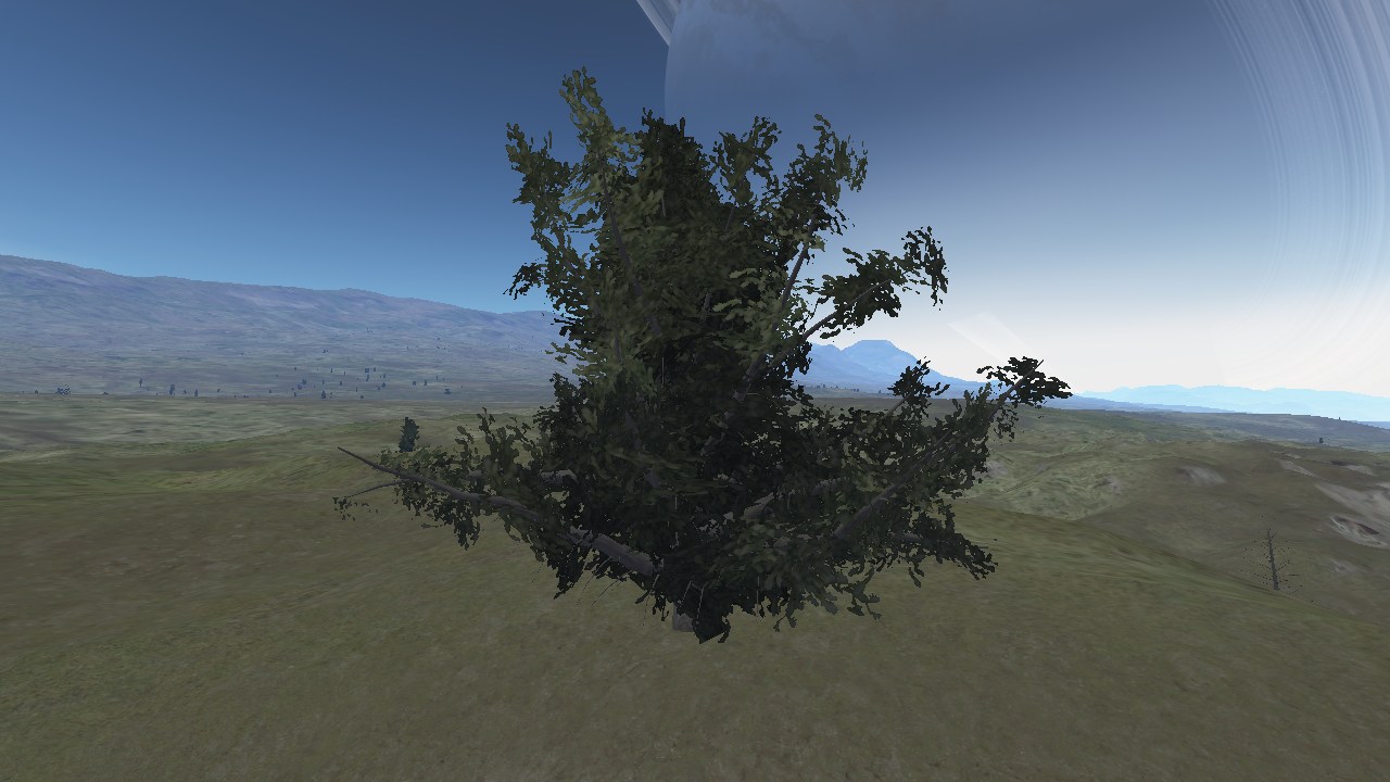 John Whigham's Blog: Seeing the Wood for the Trees