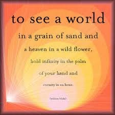 A boca de jarro: Sandra Brunelli