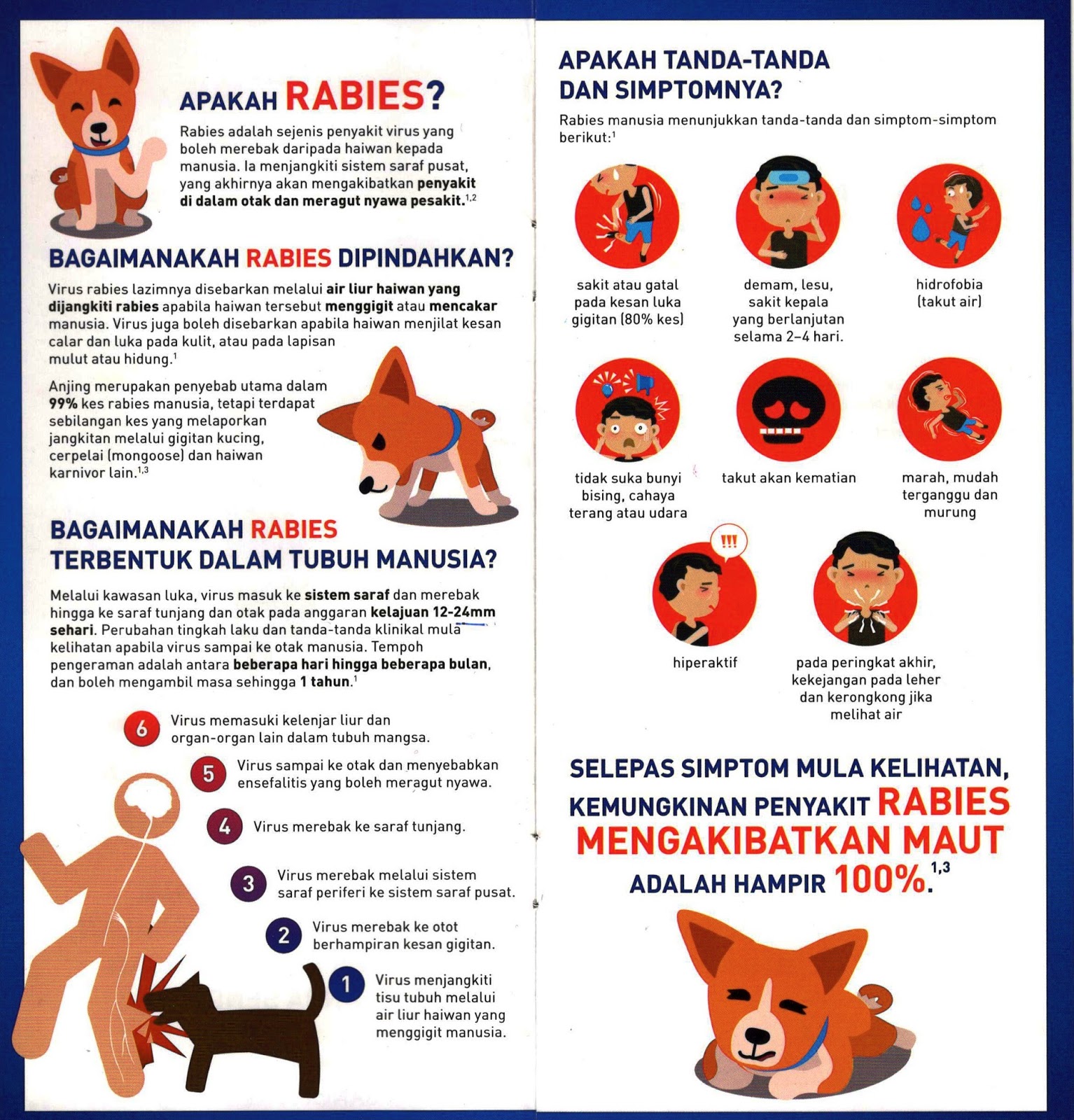 VIP : Vaksin Itu Perlindungan - NTGravity Zone