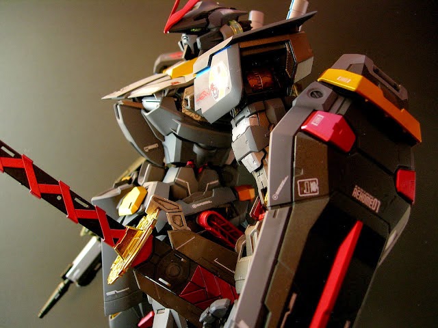Gundam Family: PG 1/60 Gundam Astray Stealth Frame Custom Build