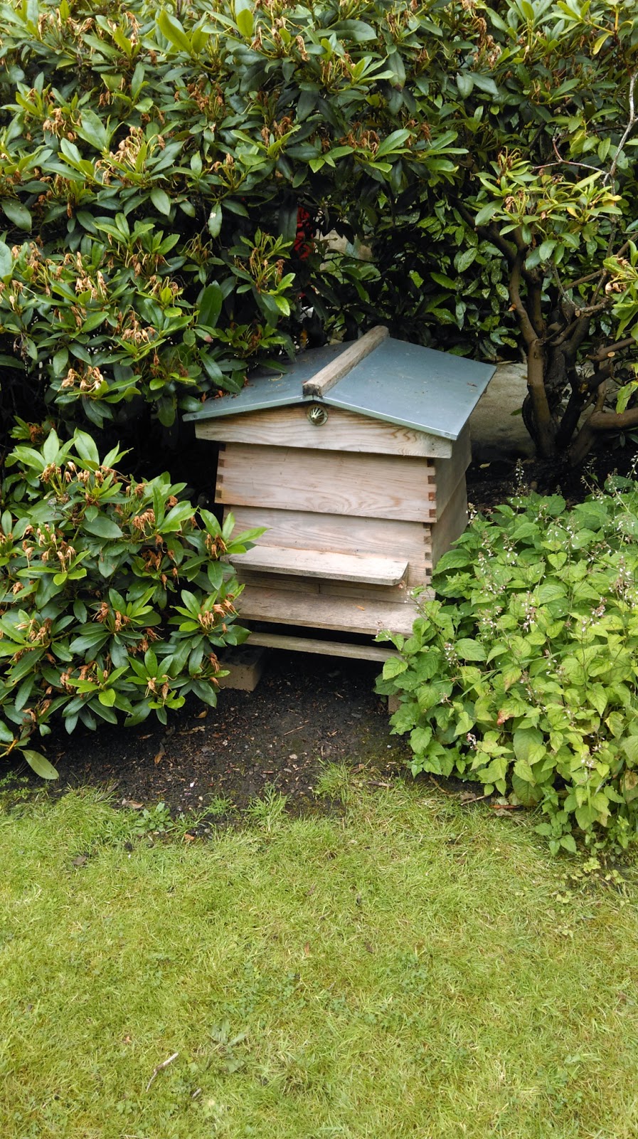 The Hivemind and Me: Avenues Open Gardens, 2014