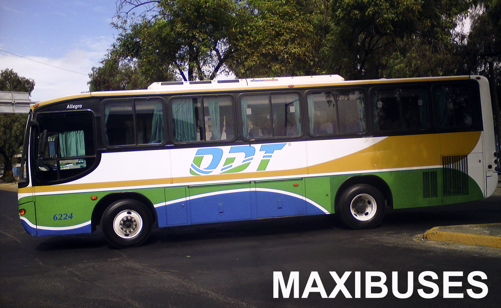 MAXIBUSES: OMNIBUS DE TIZAYUCA - ODT