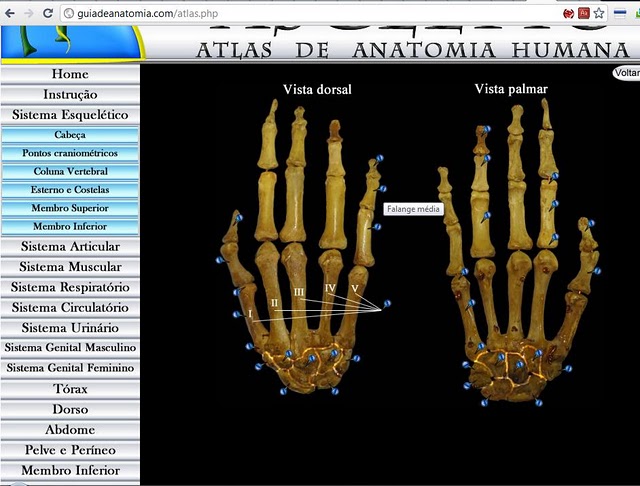 Blog da Biblioteca da UFCSPA: Atlas Virtual de Anatomia Humana