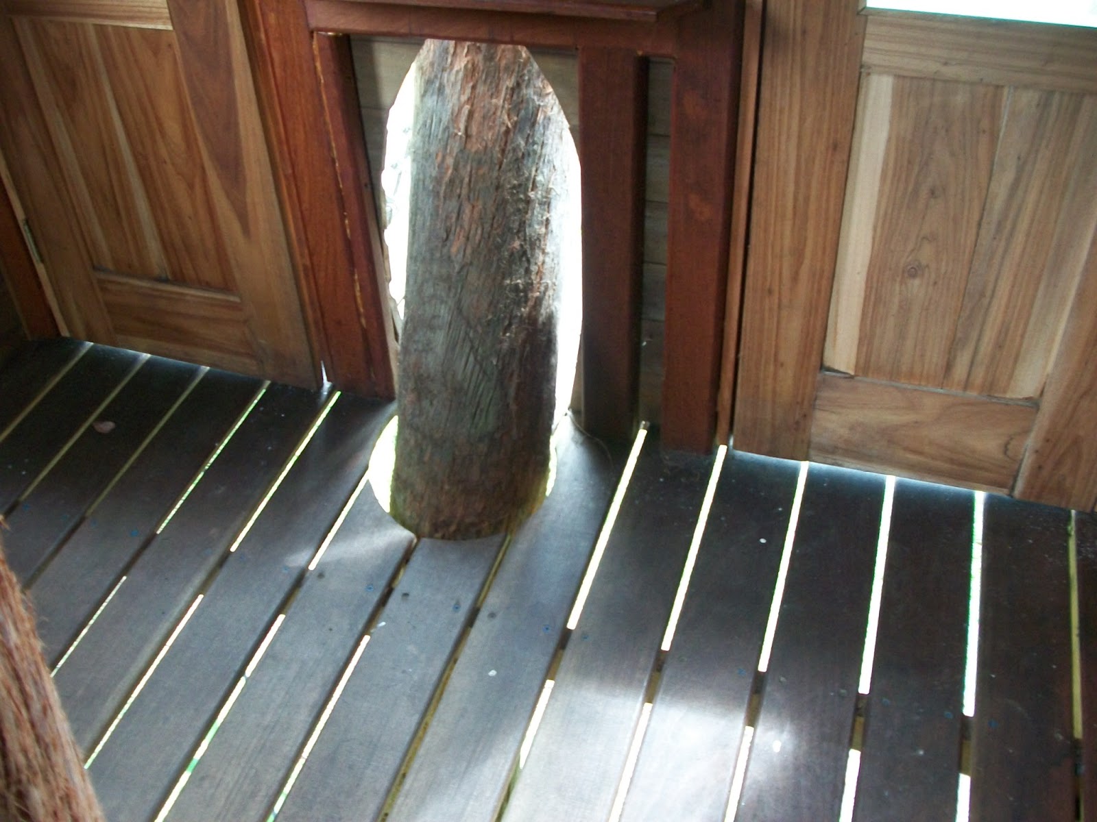 Welcome to theroofcutter.com Home of Will Holladay - Roof framing ...