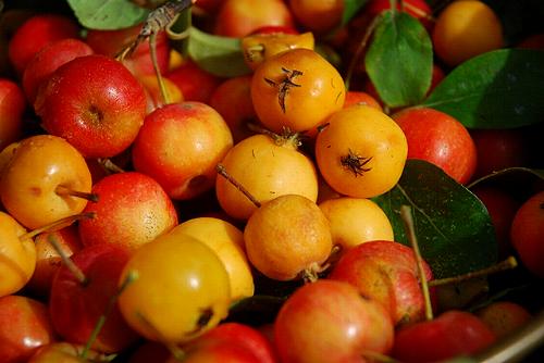 Festa Frutti Dimenticati: Sorba