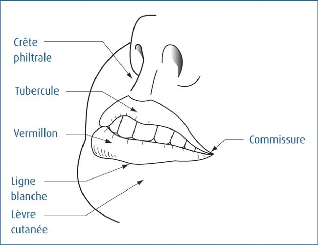 la magasine de traitement: Carcinomes des lèvres