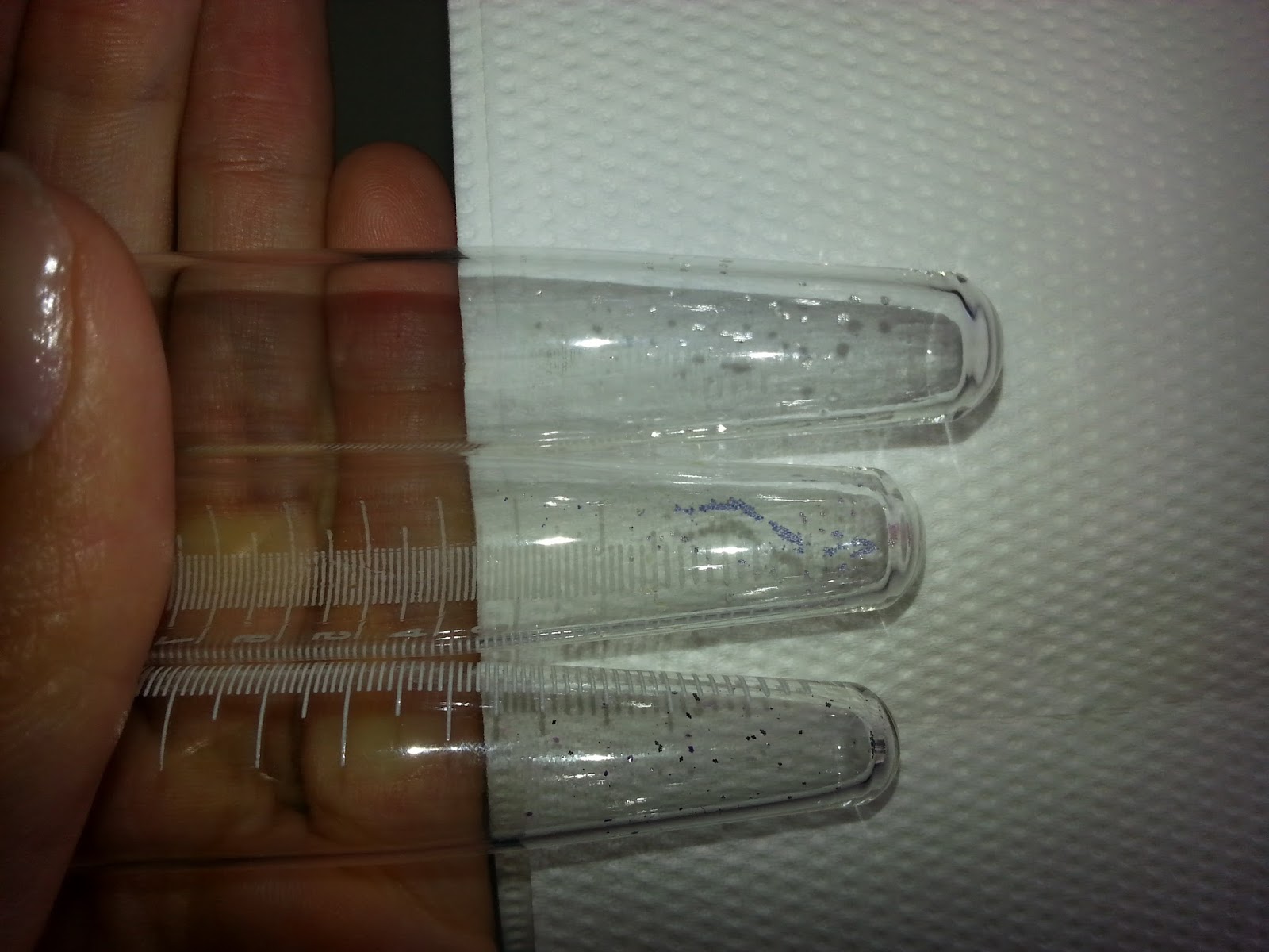 Betsabea Sbrocca: Kaiser Test