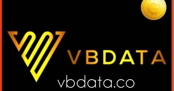 VBData. Rebranding of BDIG. Jadi jutawan dari zero