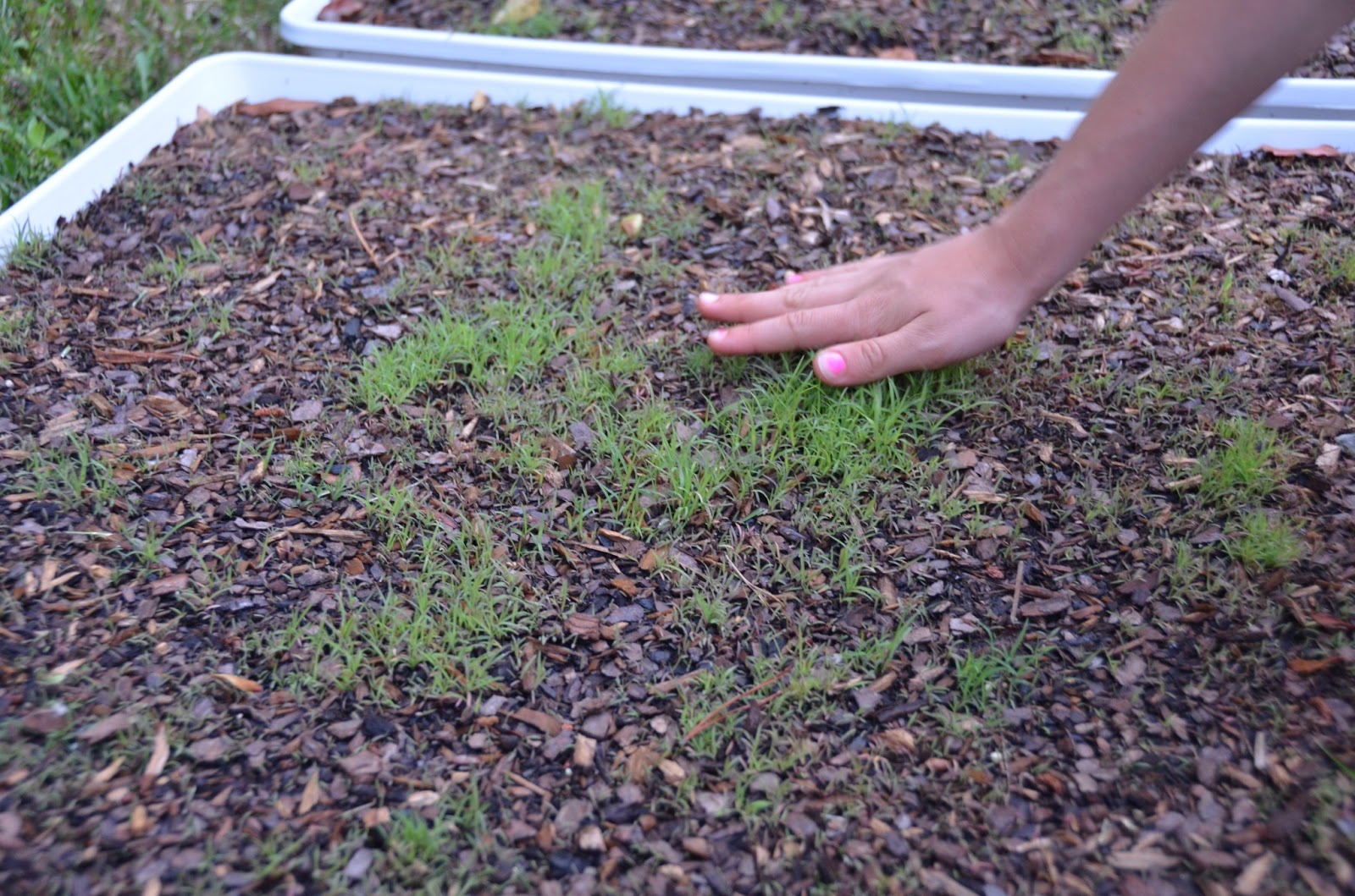 Flour Sack Mama: Hubby's Do-It-Yourself Bermuda Plugs Project