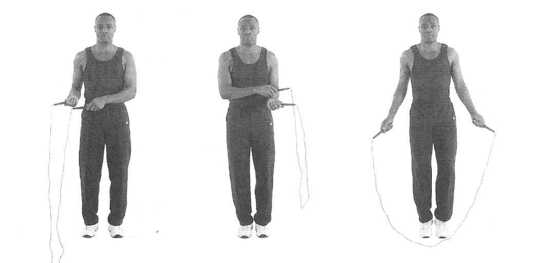 LOS 15 PASOS DE COMBA